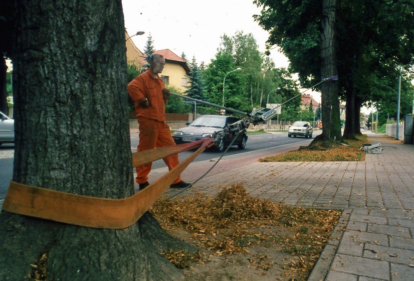 Tree Statics | AfB - Arbeitstelle für Baumstatik