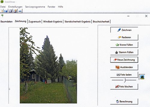 Tree Statics | AfB - Arbeitstelle für Baumstatik